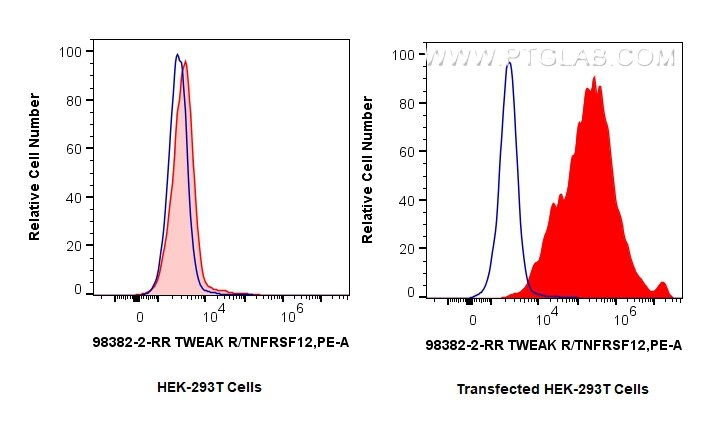 TWEAKR/CD266 antibody (98382-2-RR) | Proteintech