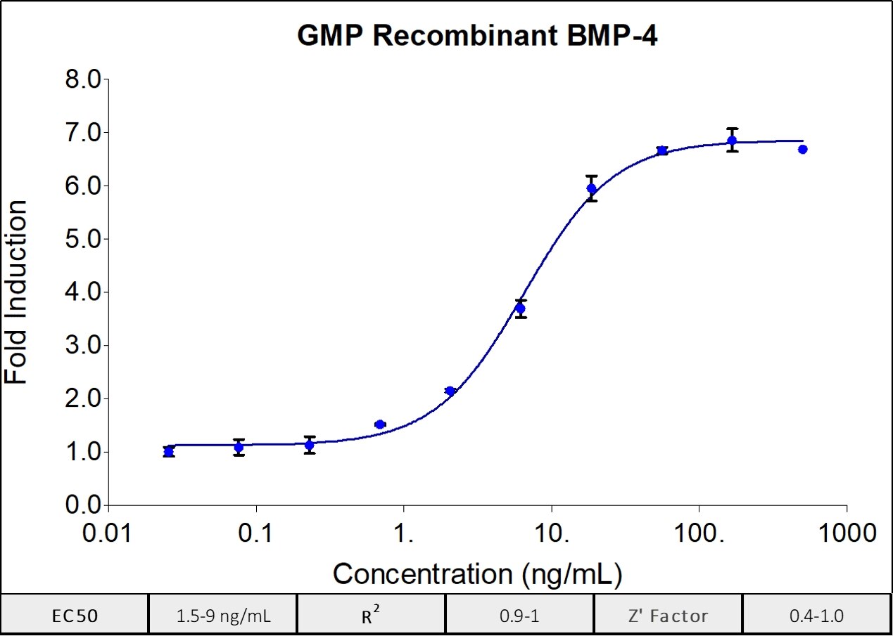 GMP grade Humankine BMP-4 recombinant protein: endotoxin free, human ...