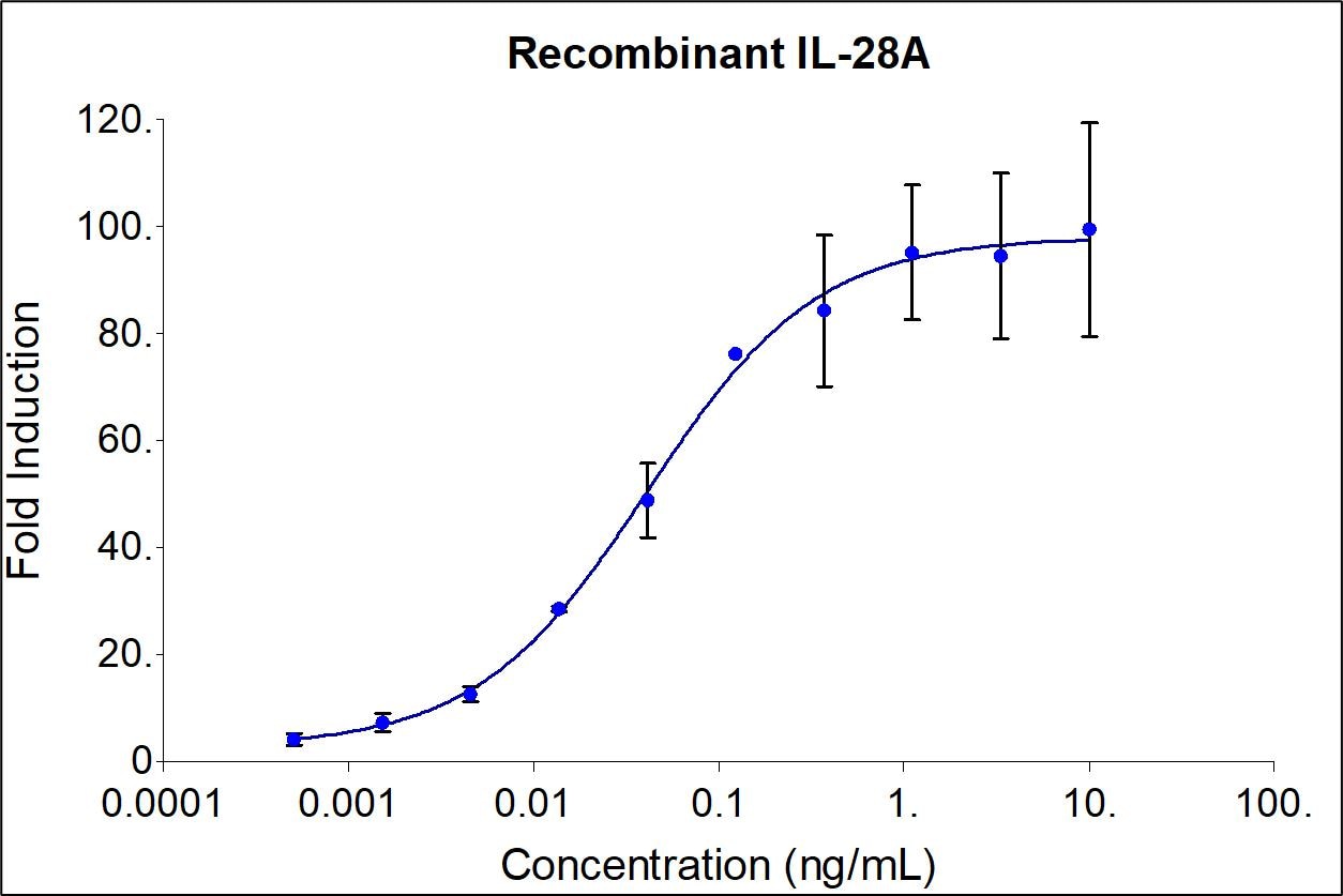 Humankine IL-28A recombinant protein: endotoxin free, human cell ...