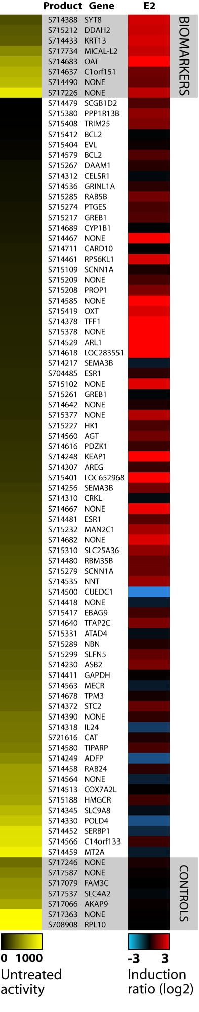 ER-related Assays (Estrogen) | Proteintech