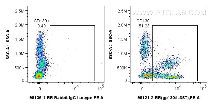 gp130/IL6ST antibody (98121-2-RR) | Proteintech