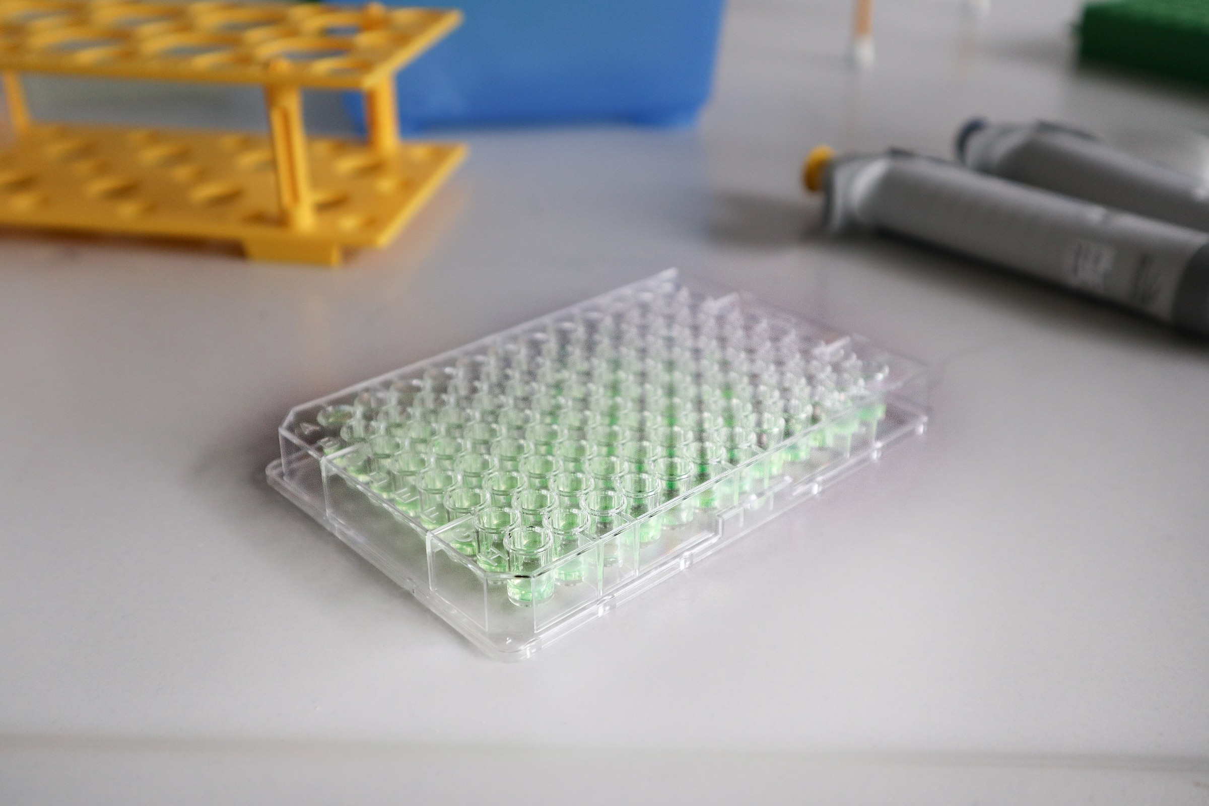 GFP-Trap® Multiwell Plate | Proteintech