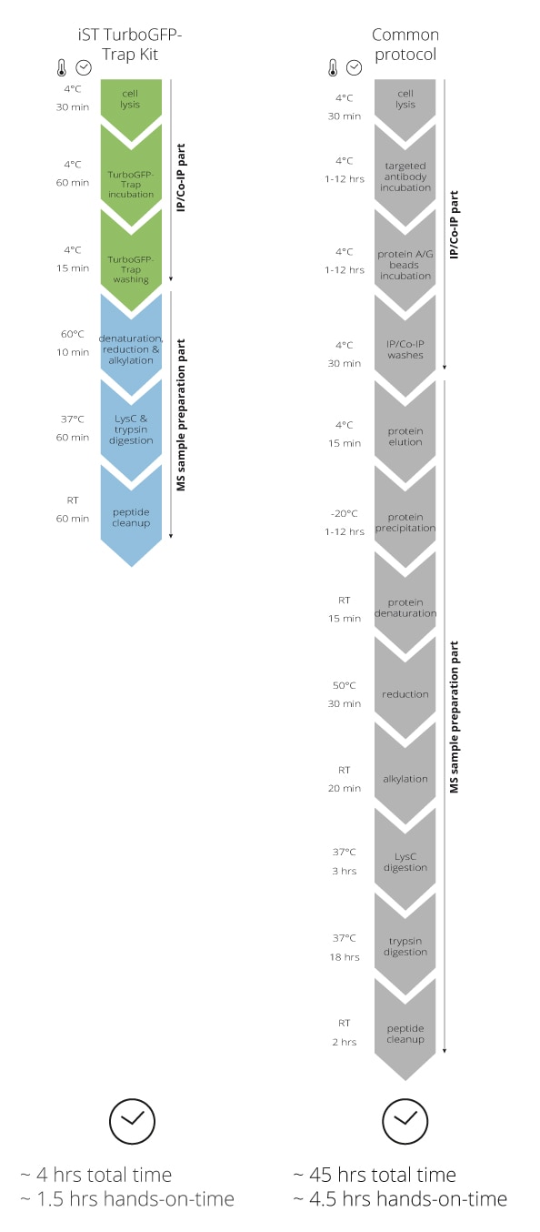 iST TurboGFP-Trap Kit for AP-MS sample preparation of TurboGFP-fusion ...